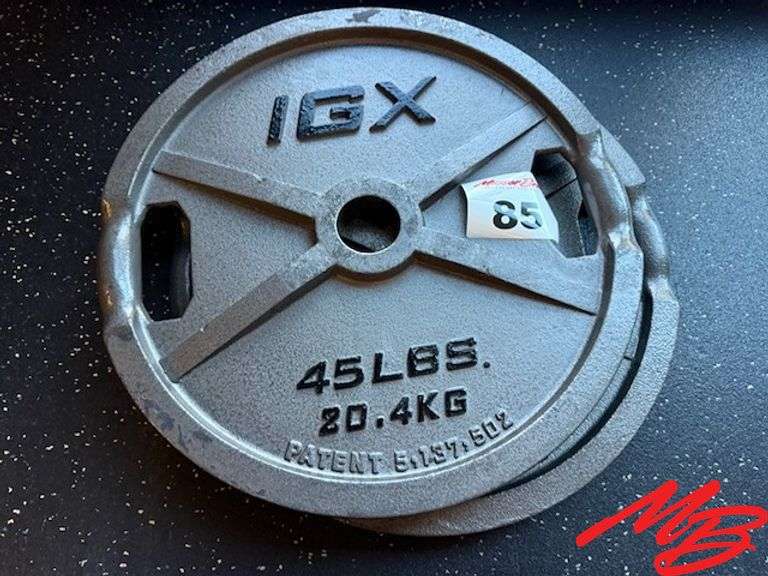 IGX Olympic Iron 45 Pound Plates - Musser Bros Inc